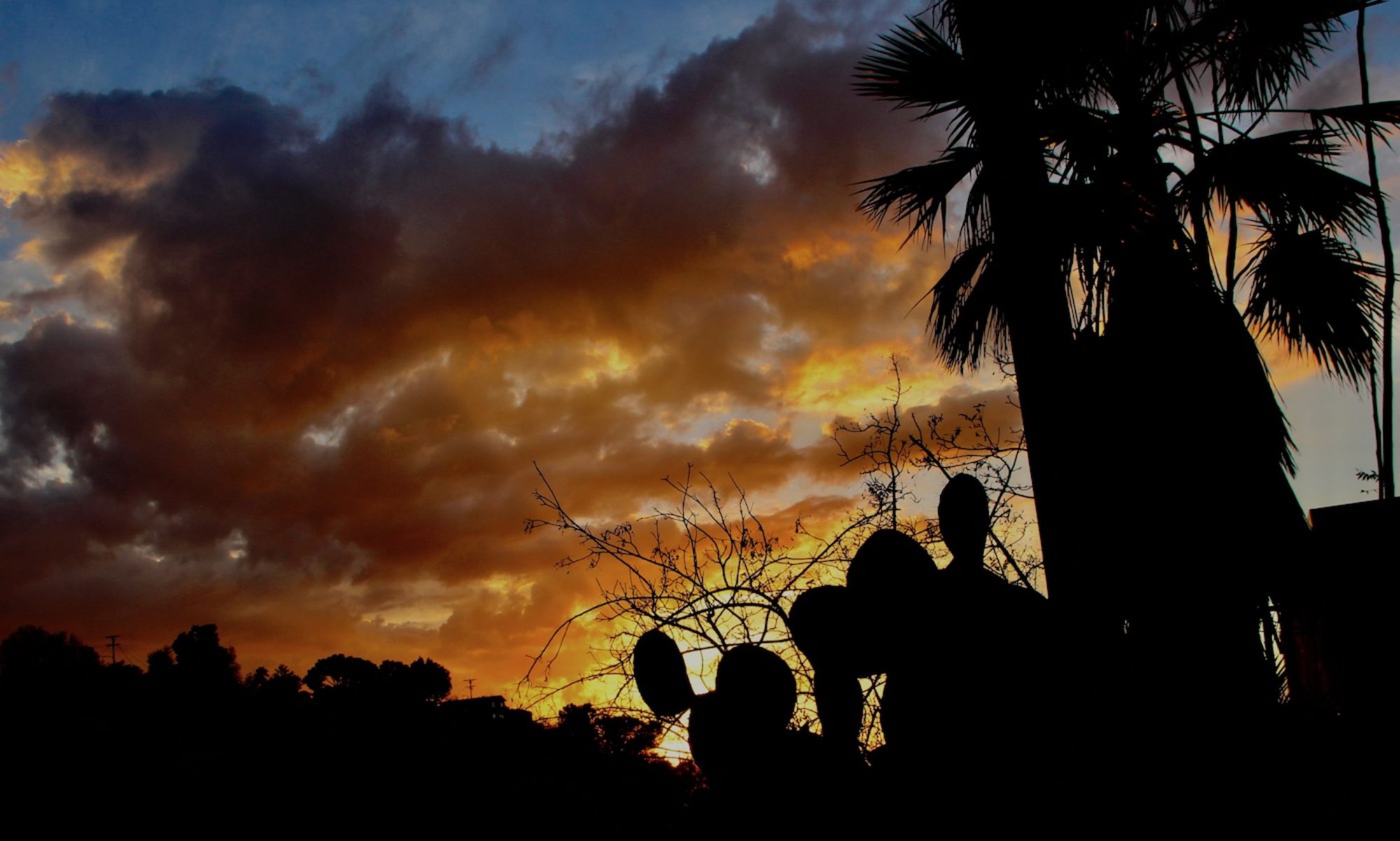 Nigel Bluck Archives - Deepest Dream